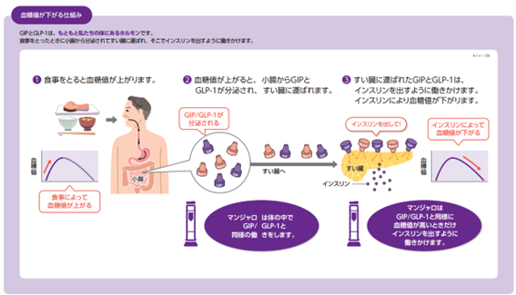 Manjaro (GIP/GLP-1 receptor agonist) | Japan's leading beauty, health ...